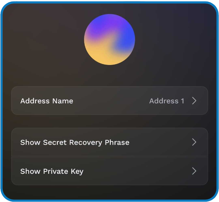 Getting Started on Ronin Mobile Wallet – Ronin