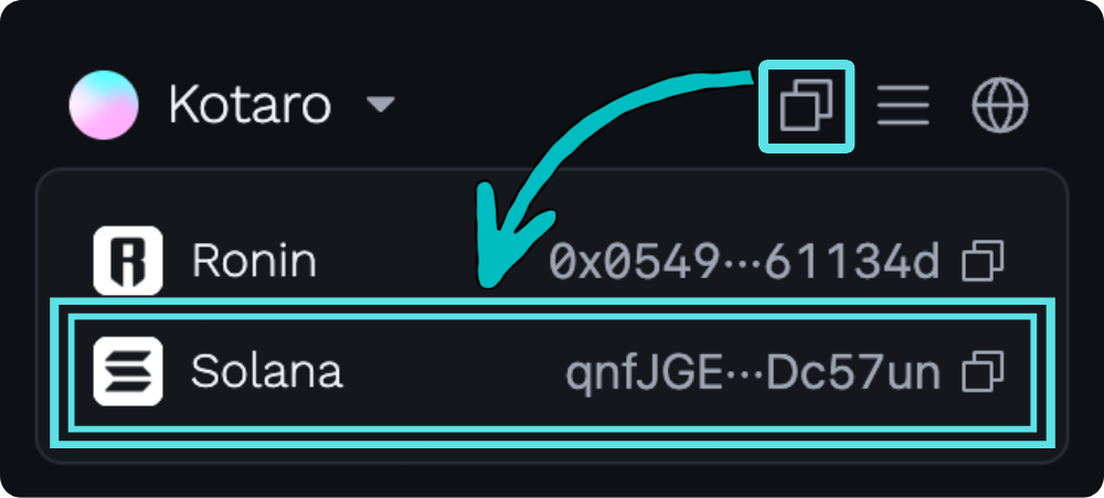 Using Solana Network on Ronin Wallet – Ronin